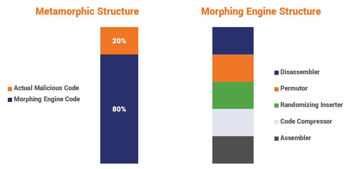Polymorphic Malware and Metamorphic Malware: What You Need to Know