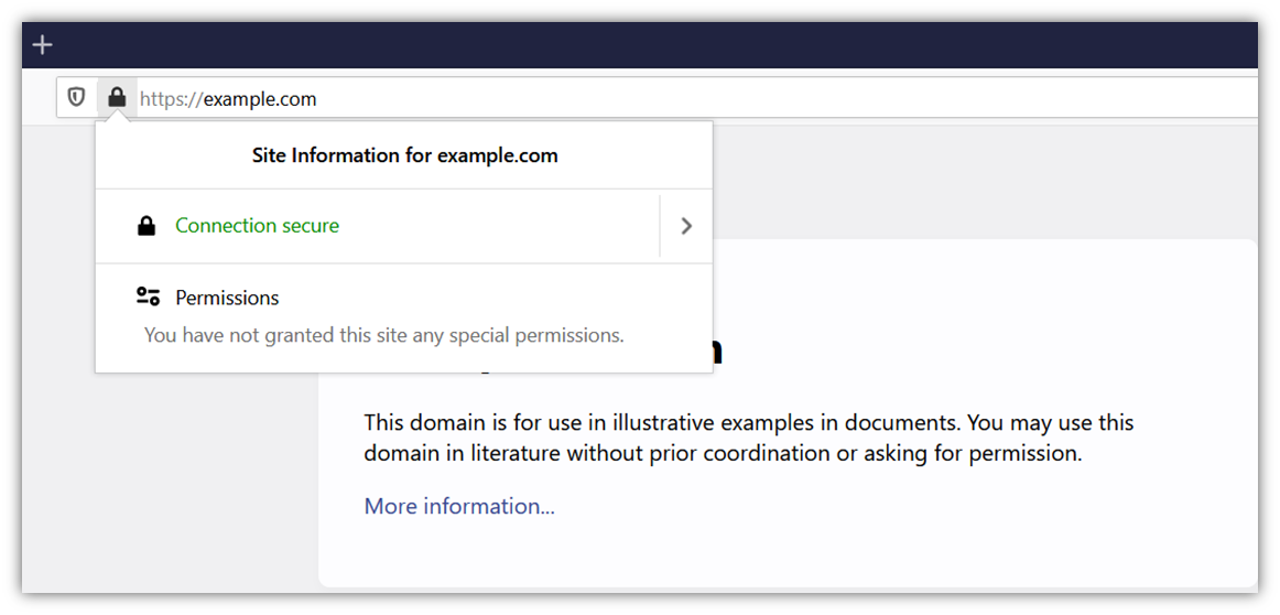 New HTTPS-Only Mode Offers Secure Browsing to Firefox 83 Users - Hashed Out by The SSL Store™